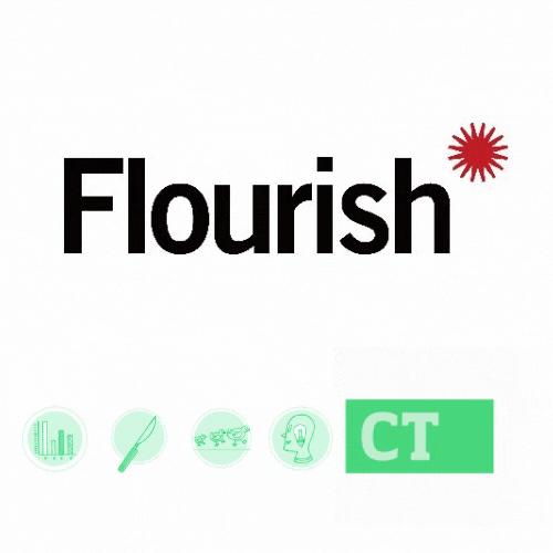 Flourish review | The Content Technologist