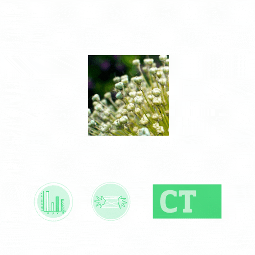 Redirection Wordpress Plugin Review The Content Technologist